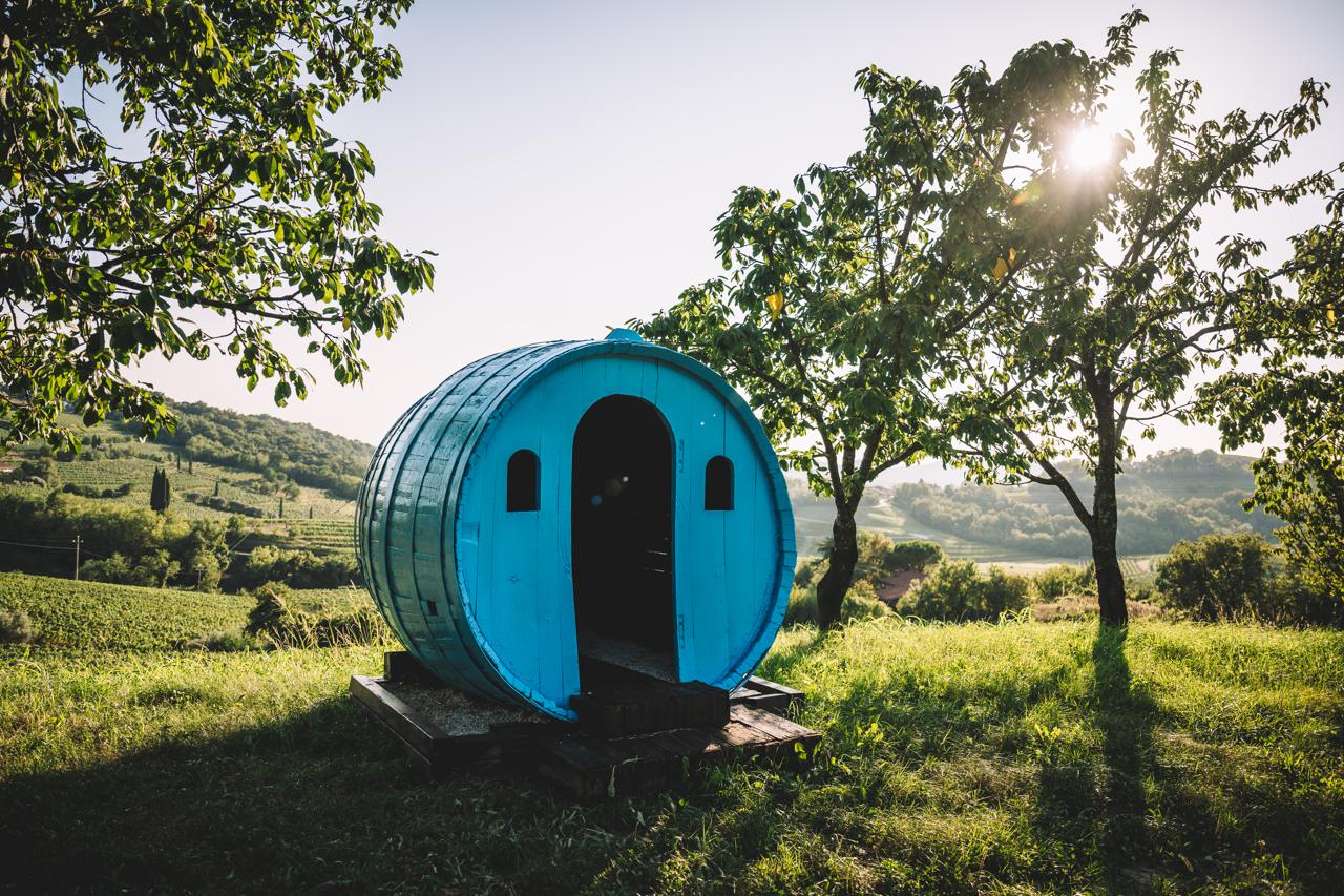 I vigneti di Collio e Brda diventano un parco d’arte che abbatte il ...